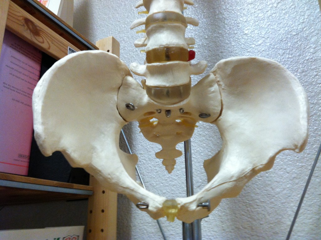 Sacroiliac Joint Pain: Restoring Balance to the Pelvic Girdle - White ...