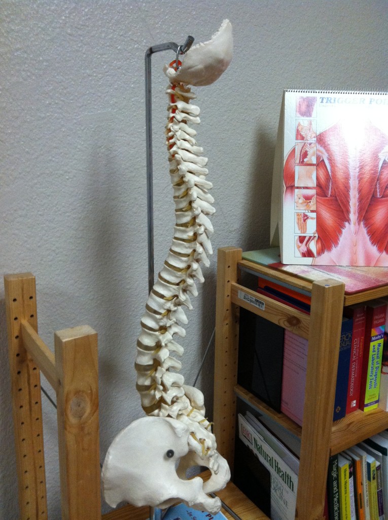 Sacroiliac Joint Pain: Restoring Balance to the Pelvic Girdle - White ...